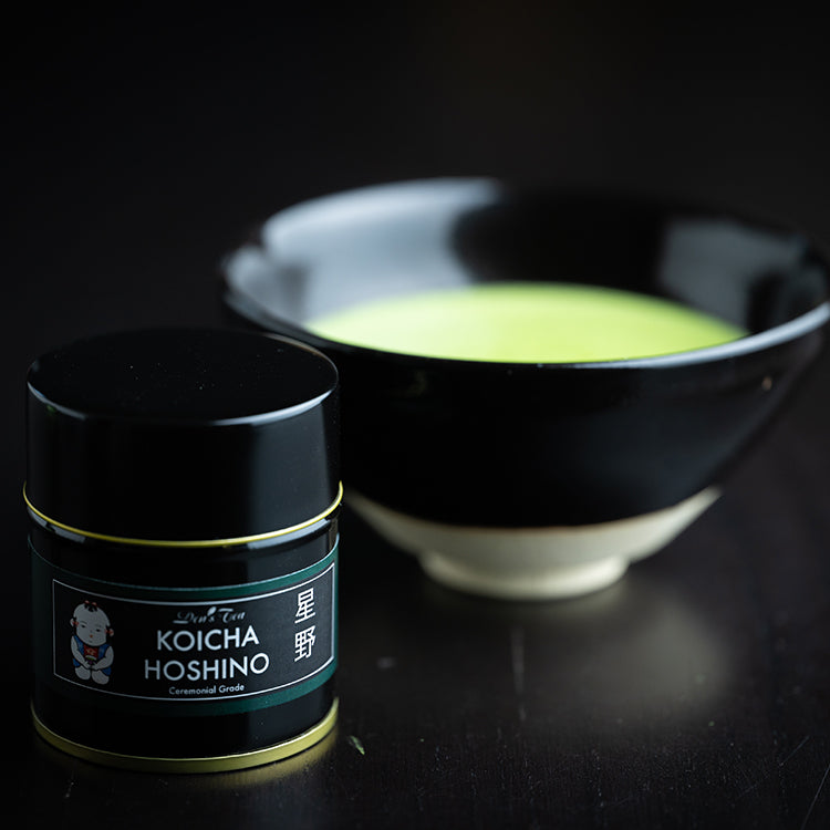 Koicha Hoshino – Den's Tea