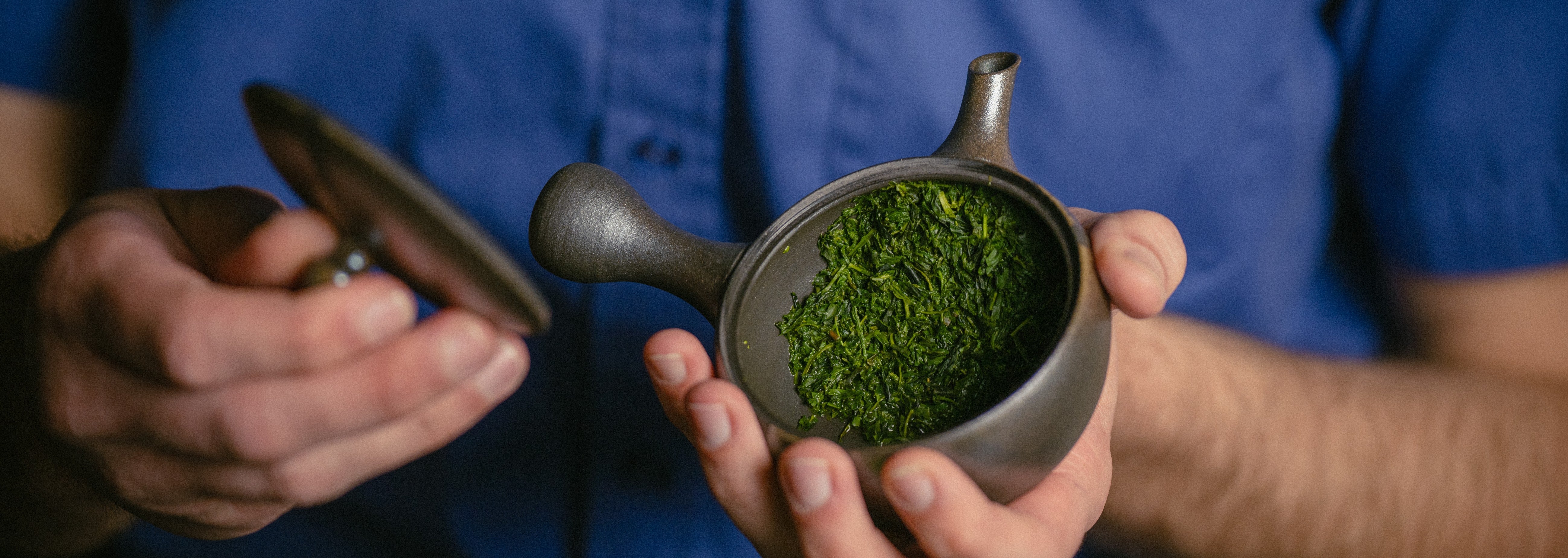 Gyokuro – Den's Tea