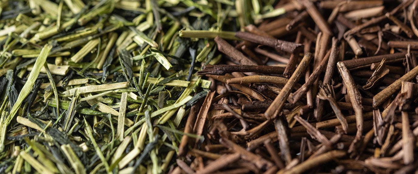 Kukicha – Den's Tea