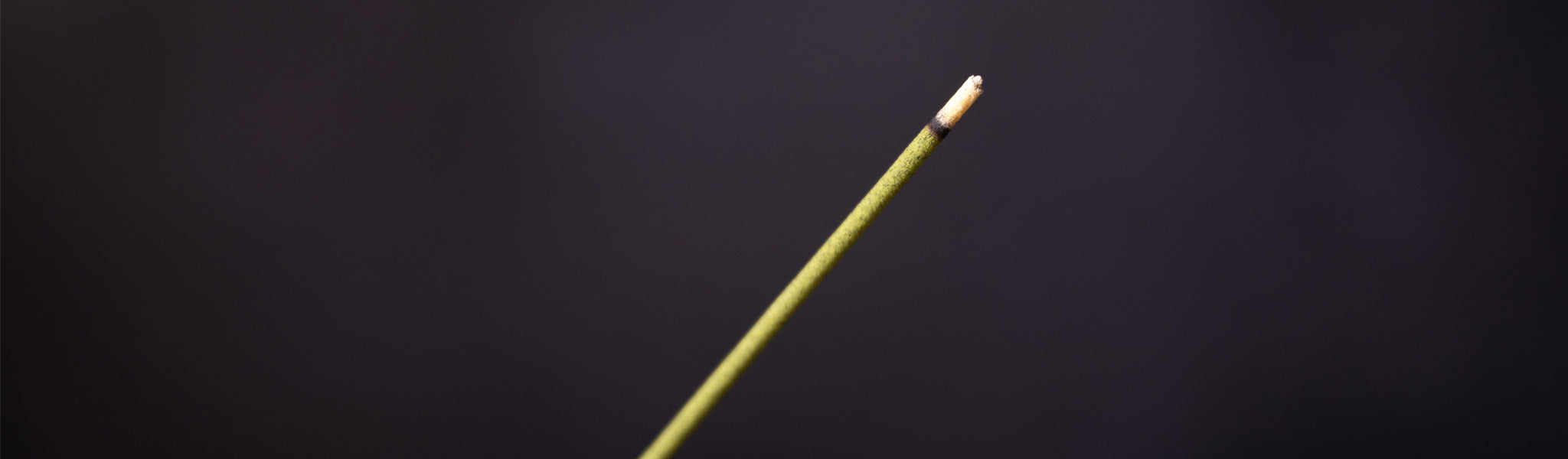 Tea Incense – Den's Tea